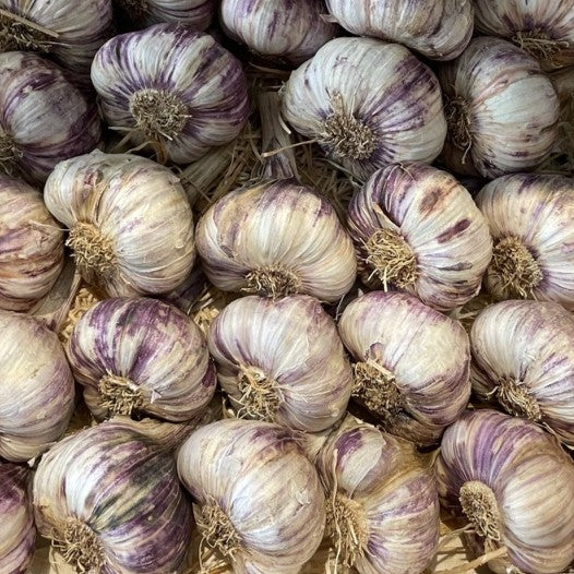 CADOURS GARLIC – La Fromagerie
